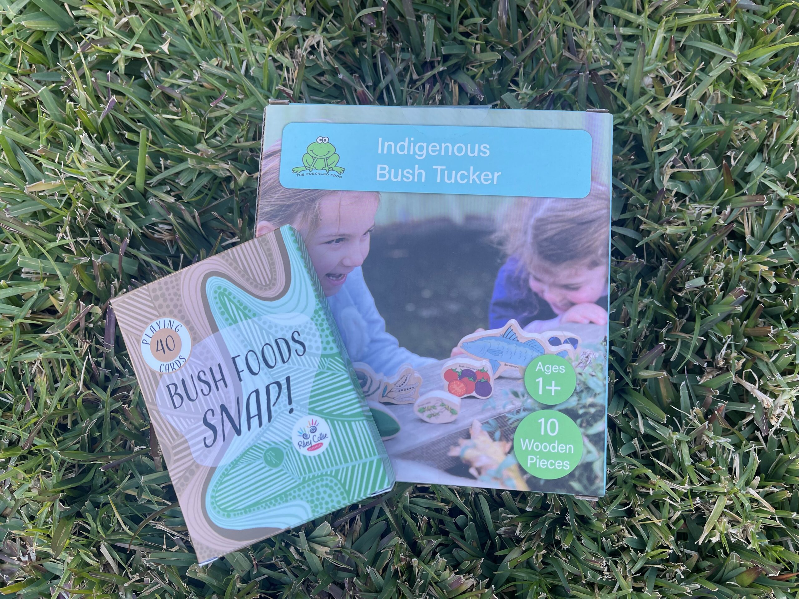 NAIDOC MINI SET "Bush Tucker" - Below The Willow Tree